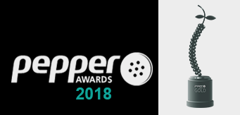 Pepper Awards 2018: Popkon Creatives is the Agency of the Year